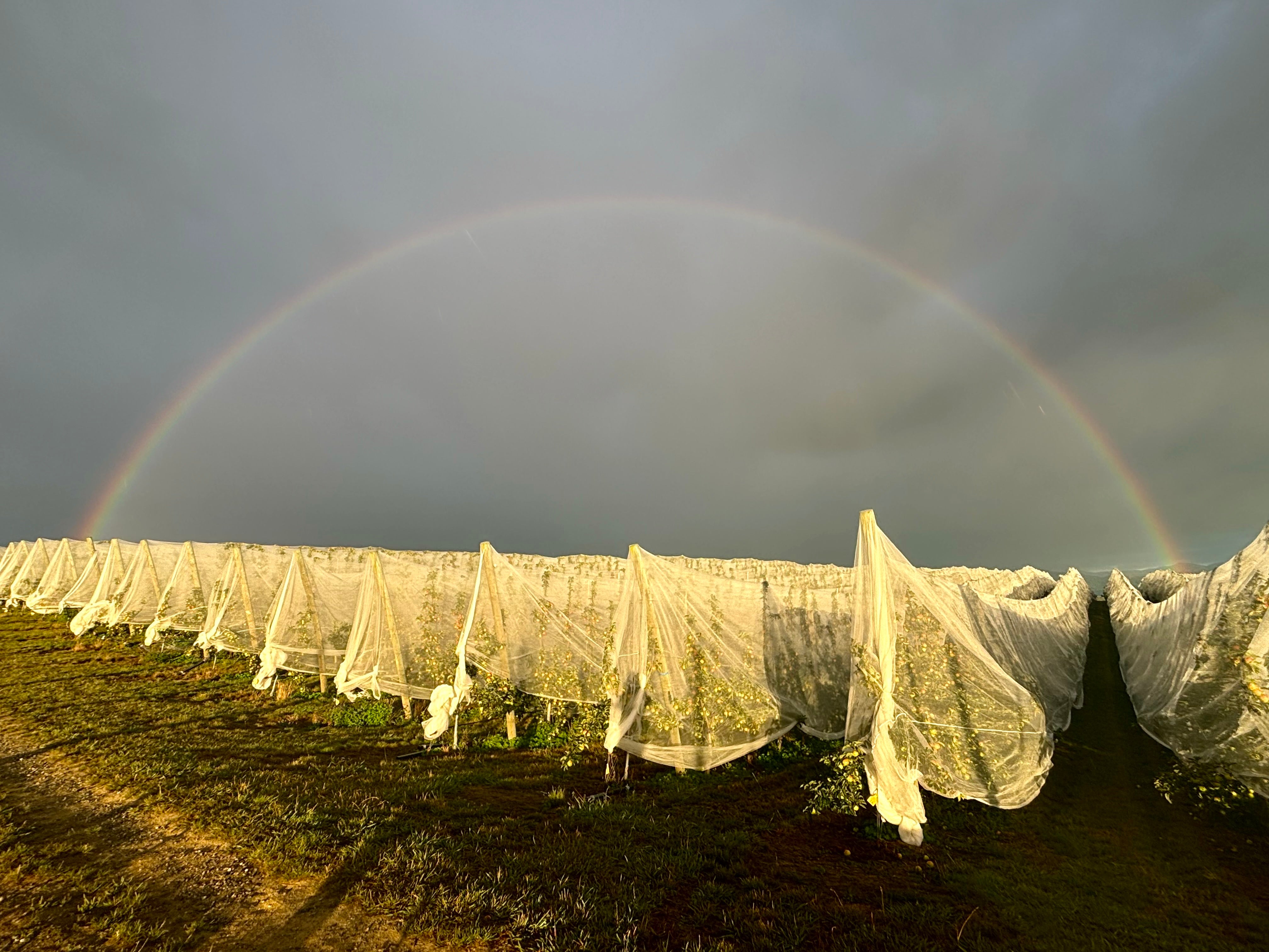Netting – Premium Horticultural Imports NZ