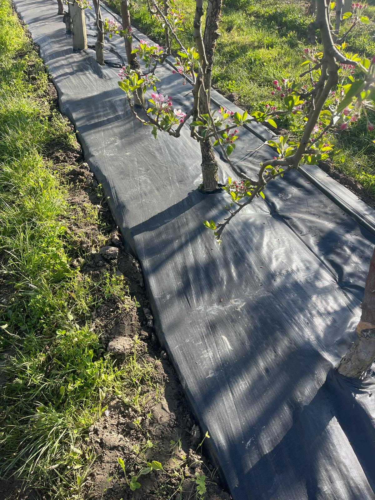 Weed Mat – Premium Horticultural Imports NZ